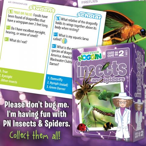 Prof Noggin Insects and Spiders – Toy Soup